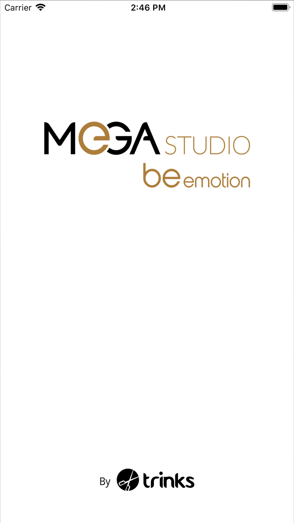 MegaStudio for iPhone - Download
