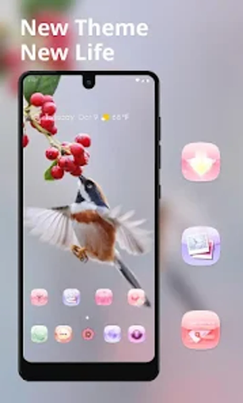Animal cute bird eating fruits for Android - Download