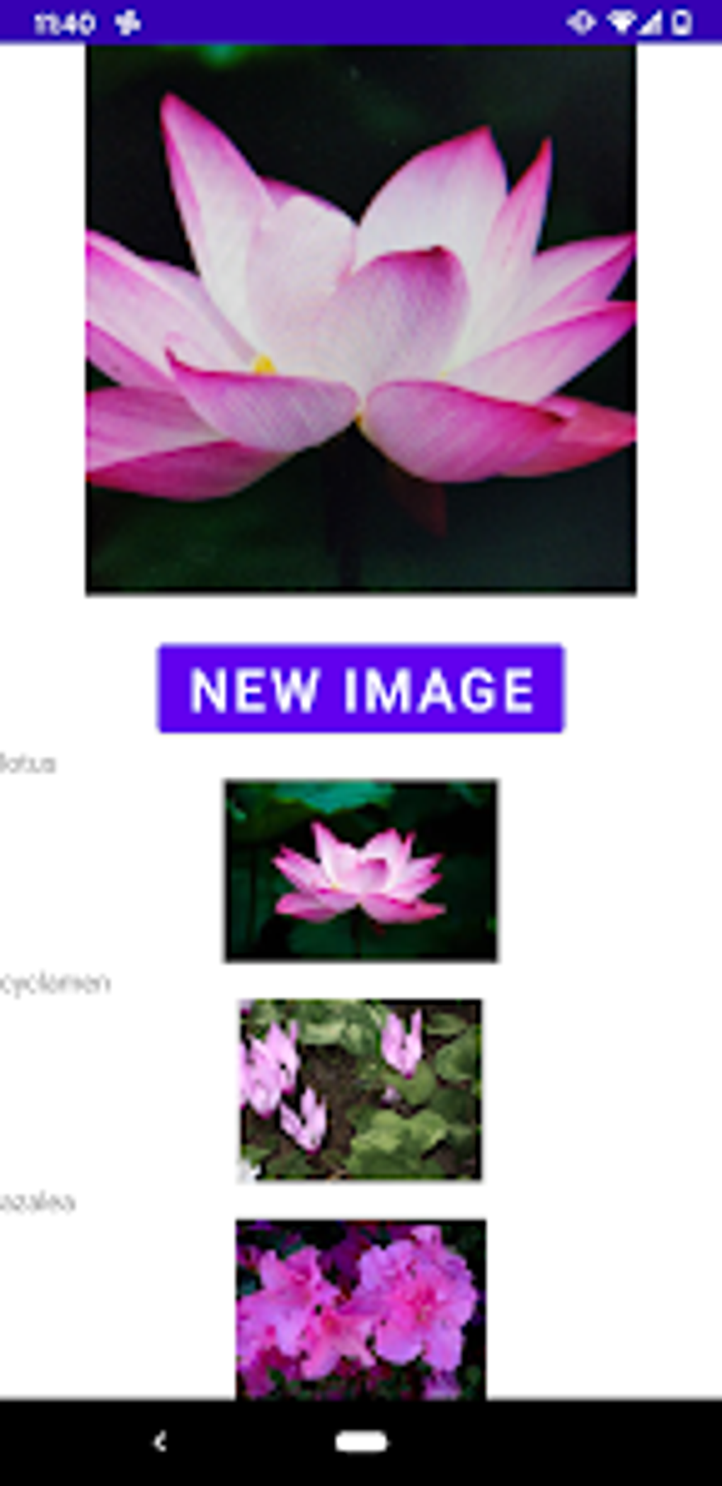 Flower identifier for Android - Download