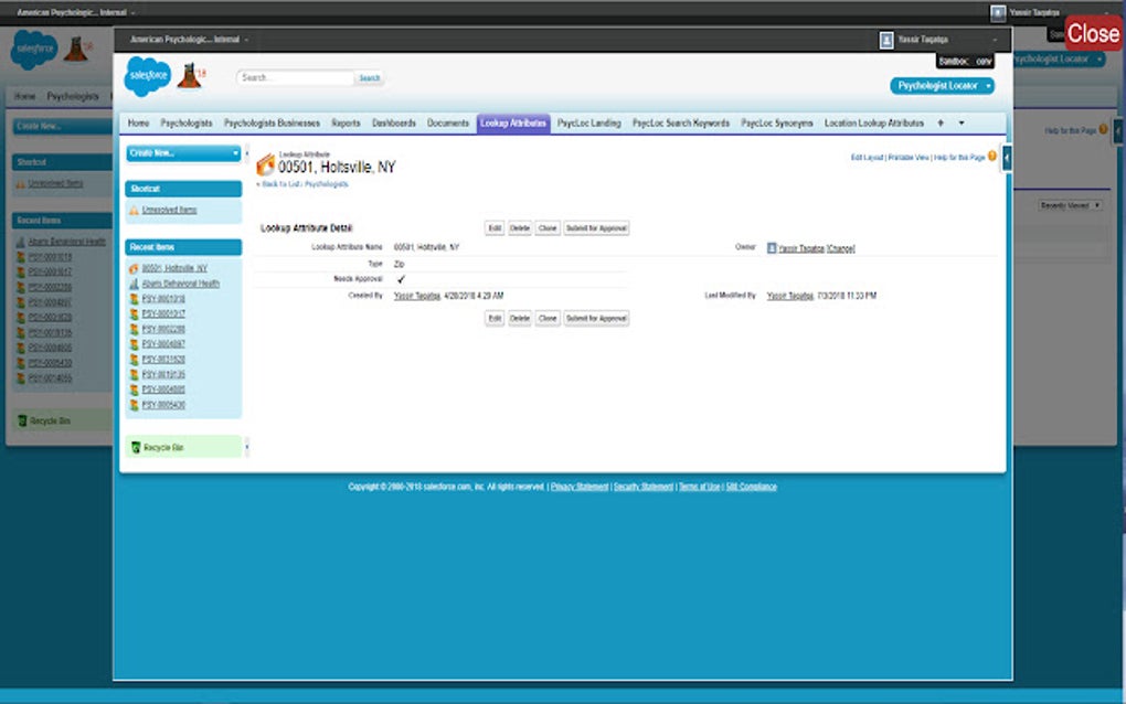 Quick View Salesforce Records para Google Chrome - Extensión Descargar