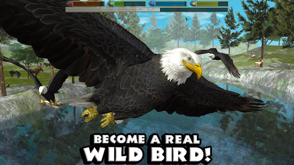 Ultimate Bird Simulator para Android - Descargar