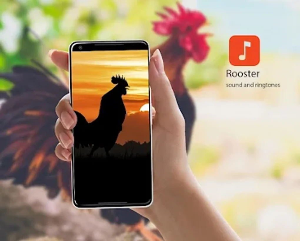 Rooster Sounds per Android - Download
