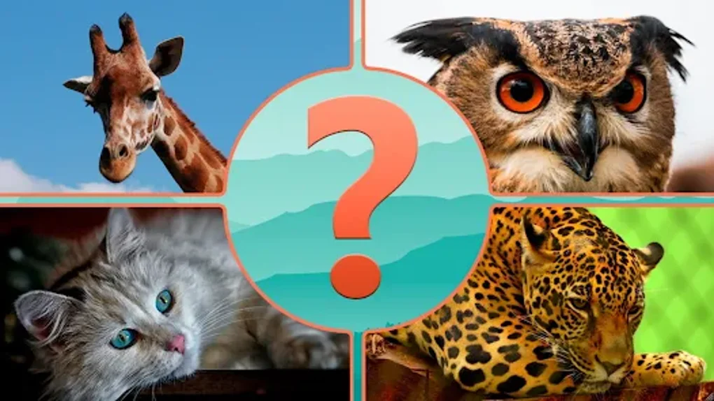 Guess the Animal para Android - Descargar