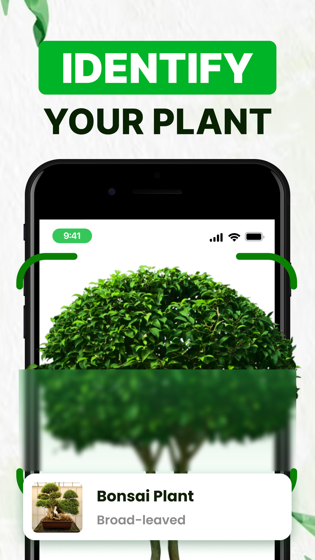 Plant ID - Nature Identifier for iPhone - Download