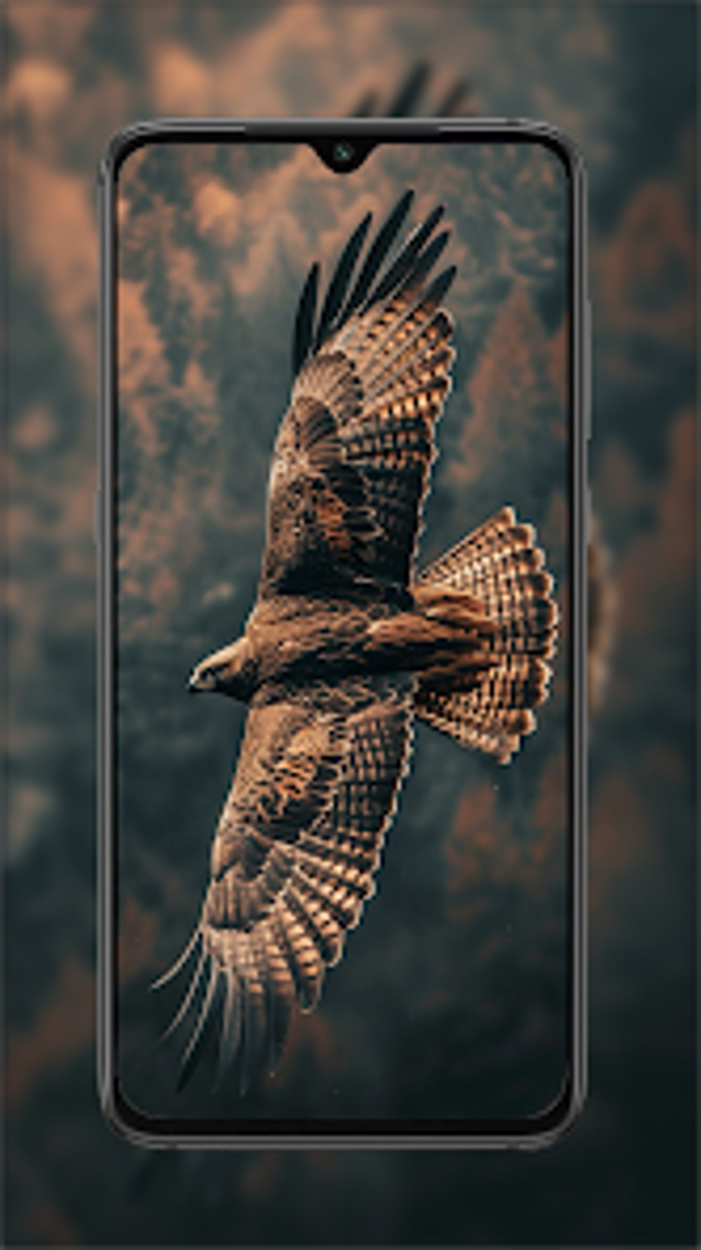 Animal Wallpaper per Android - Download