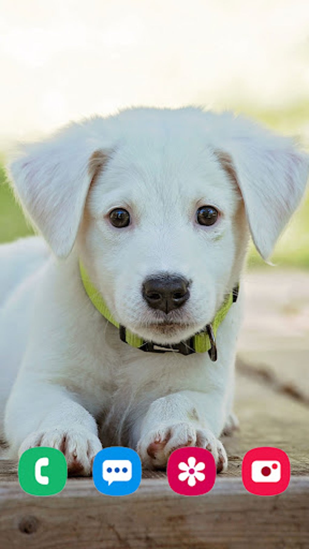 Dog Wallpaper APK for Android - Download