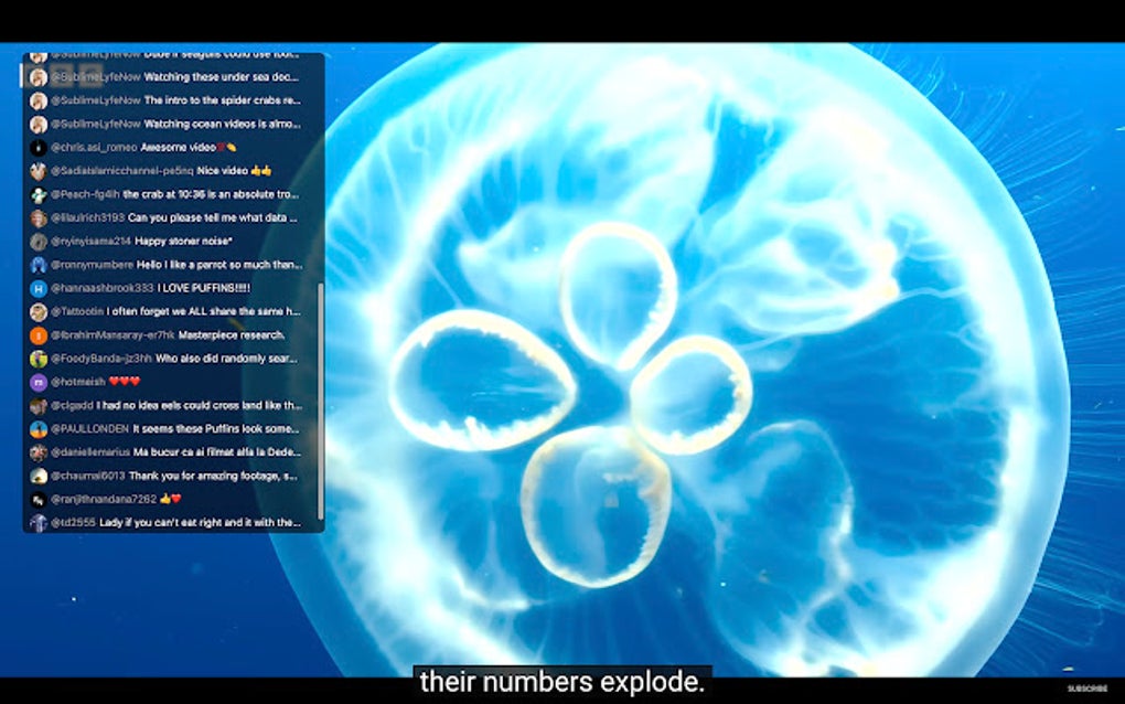 Youtube Comments Chat para Google Chrome - Extensión Descargar