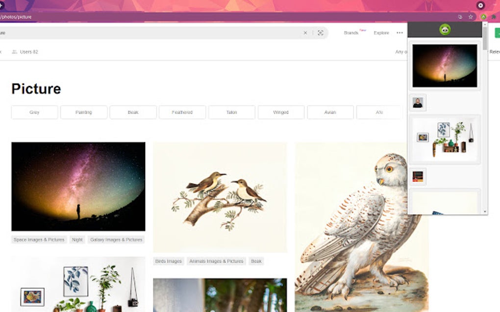 Clippy Google Chrome 용 - 확장 프로그램 다운로드