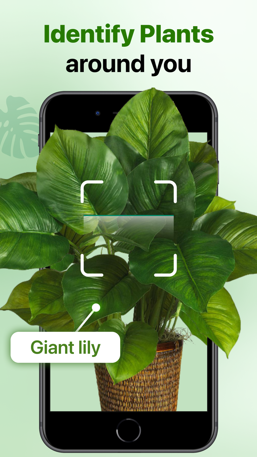 Plant Identifier AI - Plant ID para iPhone - Descargar