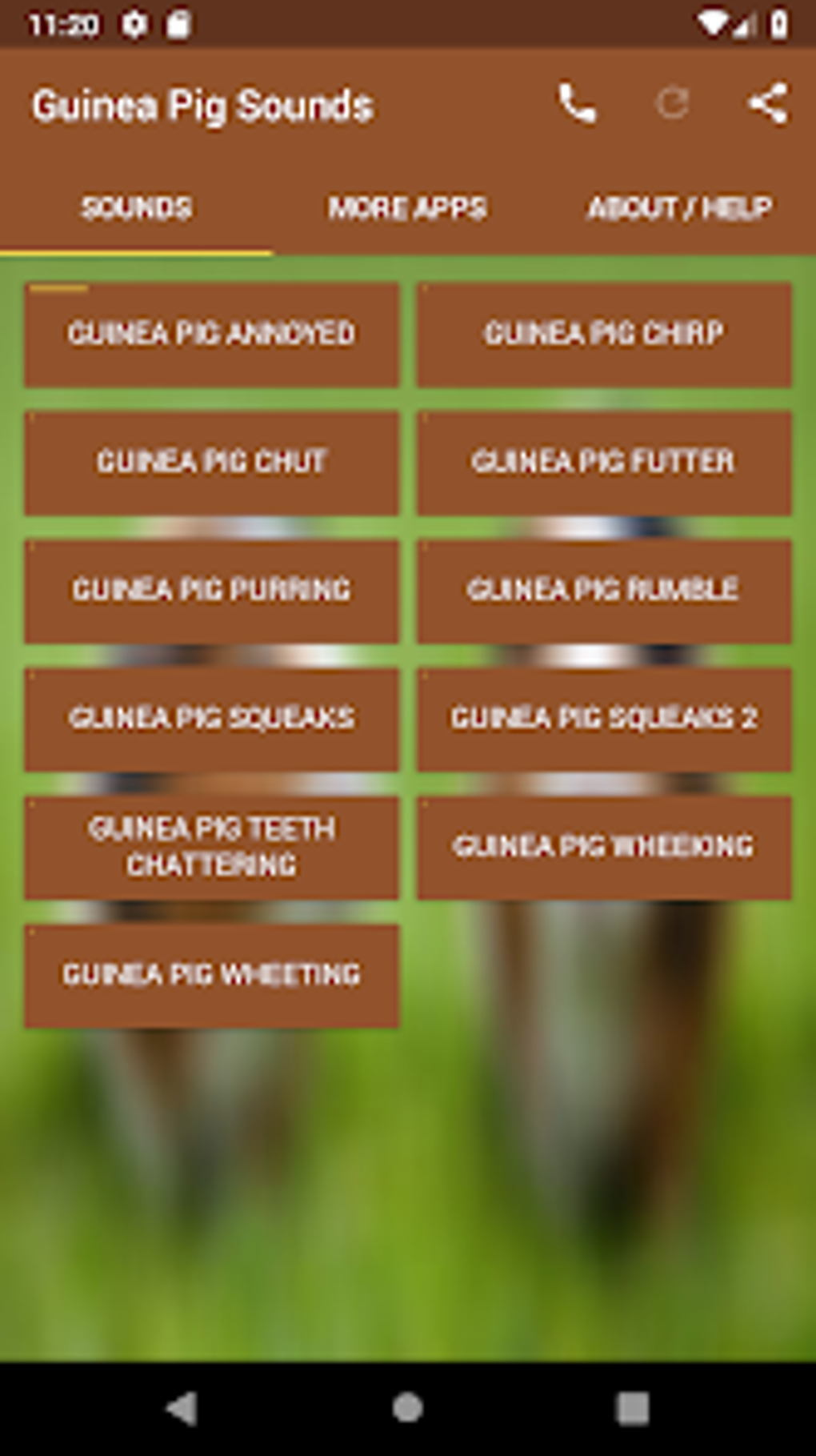 Guinea Pig Sounds para Android - Descargar