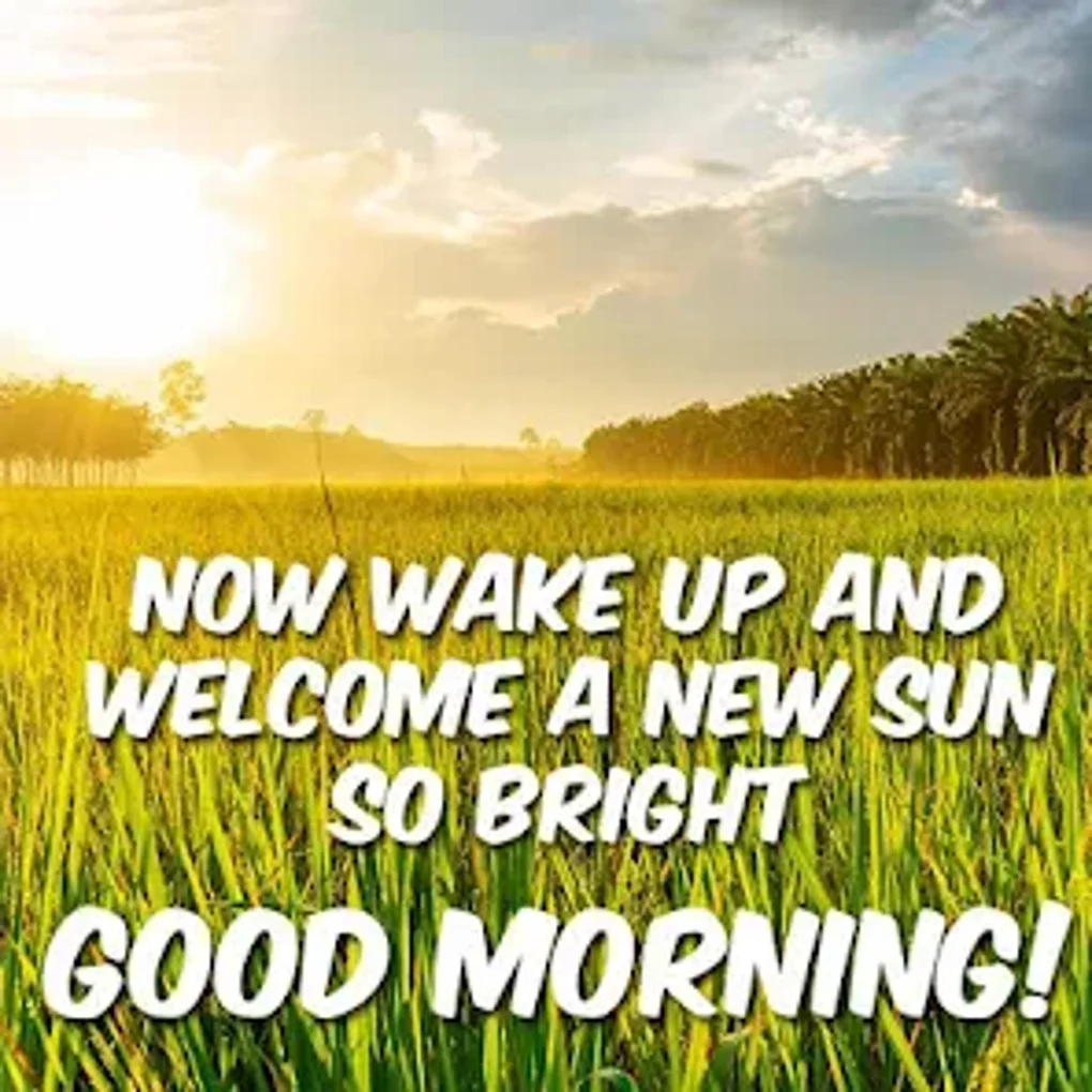 Good Morning Greeting GIF for Android - Download