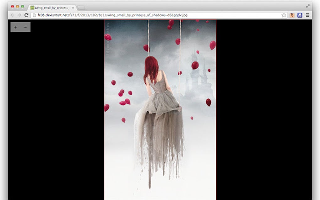 Rich Image Previewer for Google Chrome - Extension Download