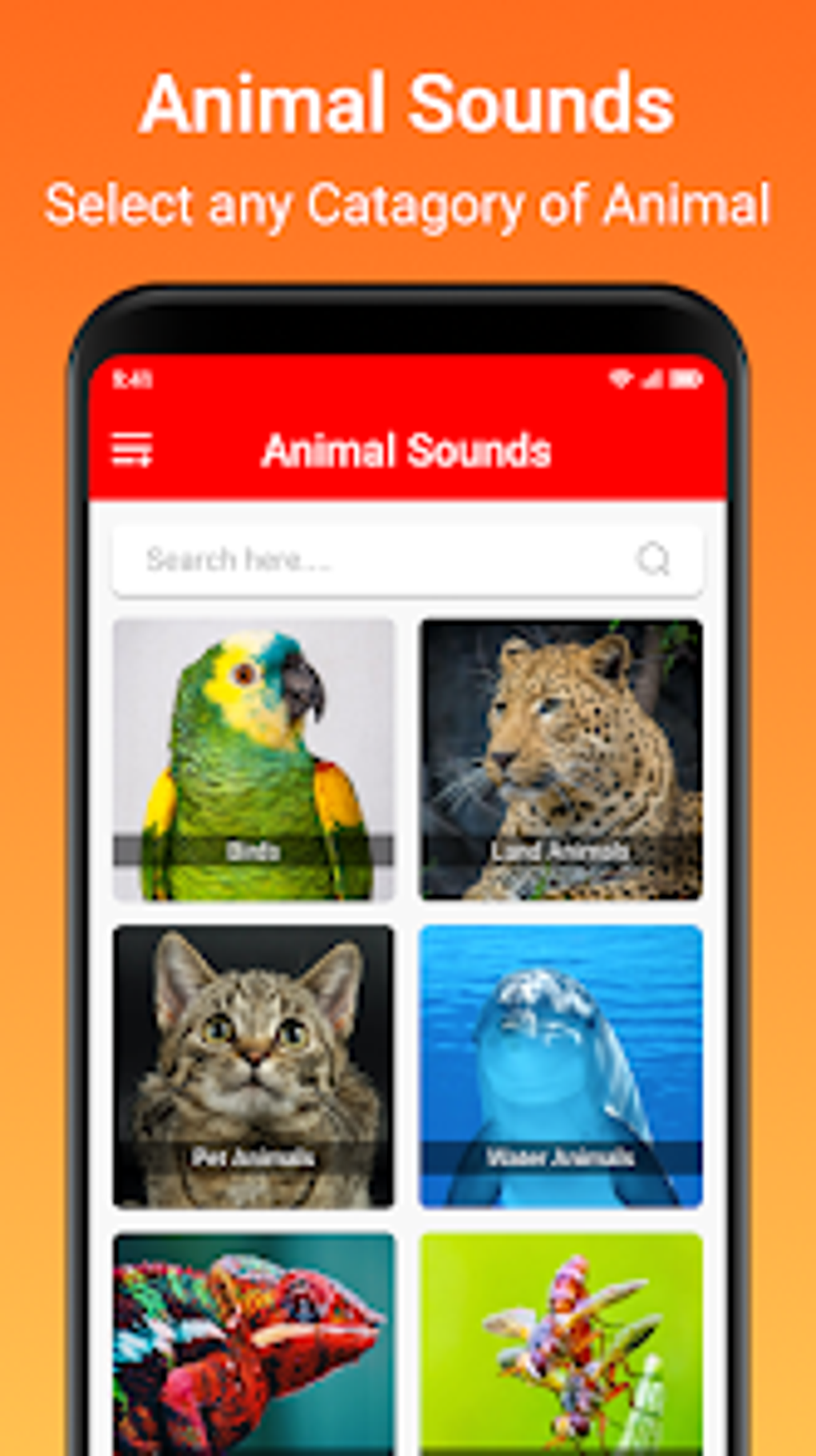 Animal Sounds: Ringtones pour Android - Télécharger