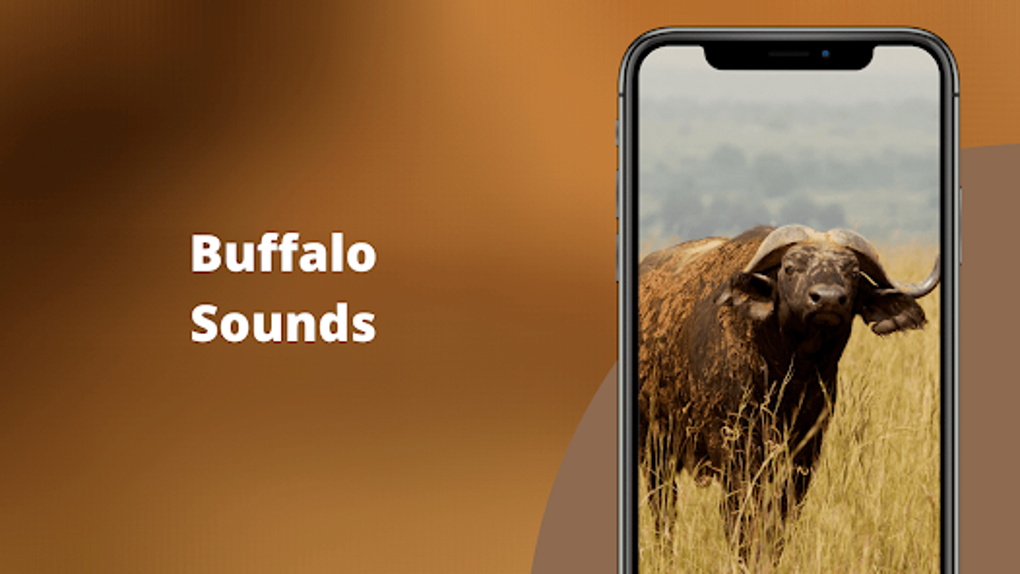 Buffalo Sounds per Android - Download