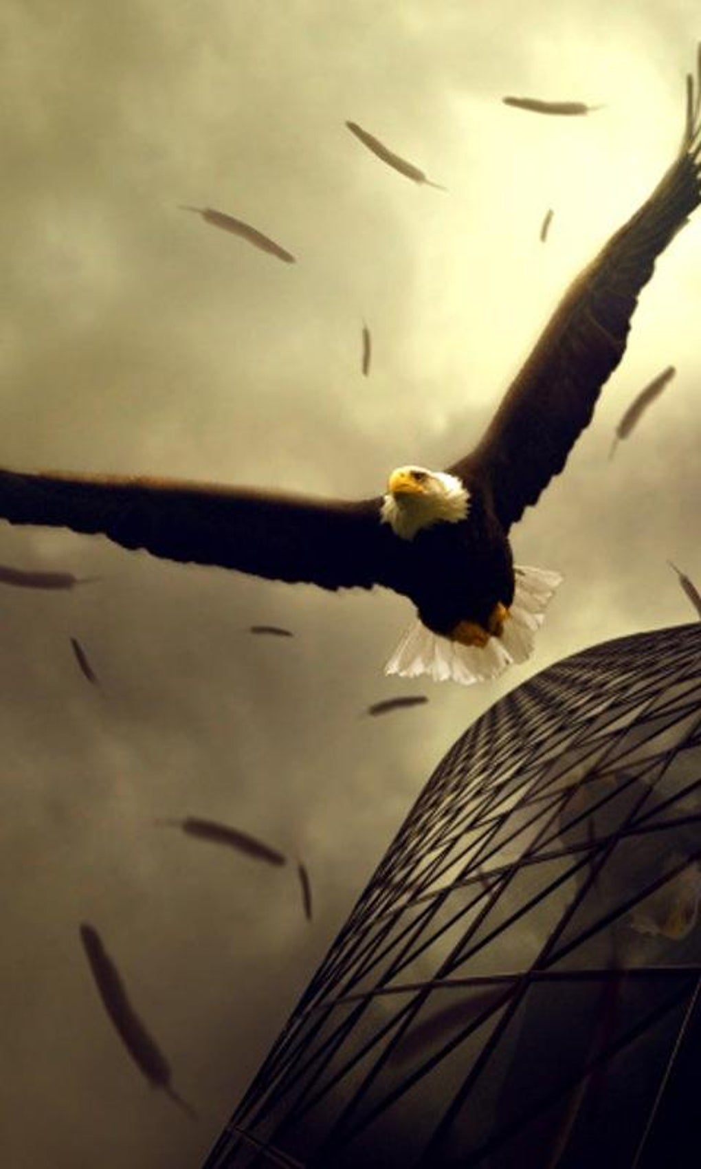 Eagle Live Wallpaper APK for Android - Download