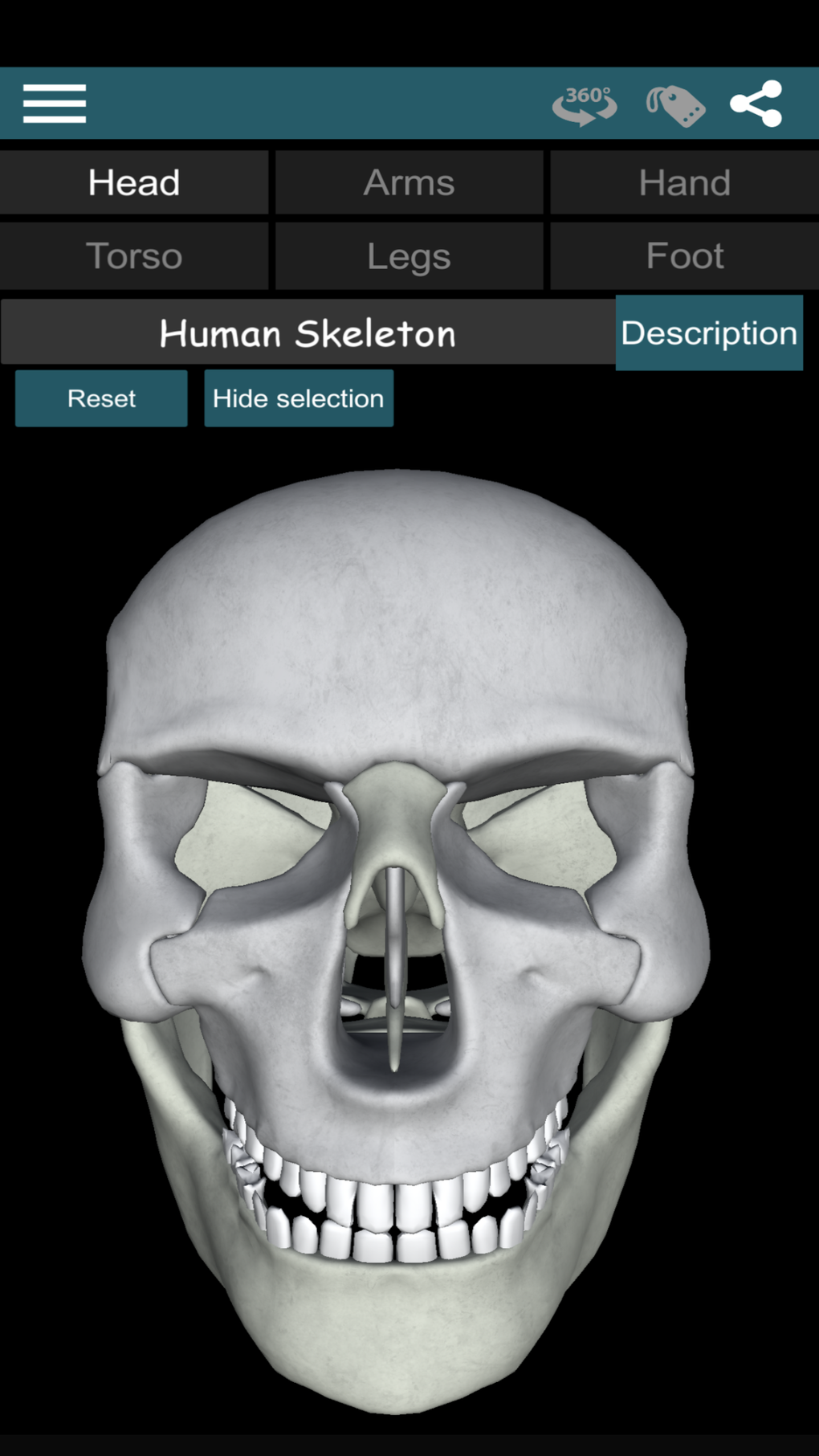 Bones 3D Anatomy for iPhone - Download