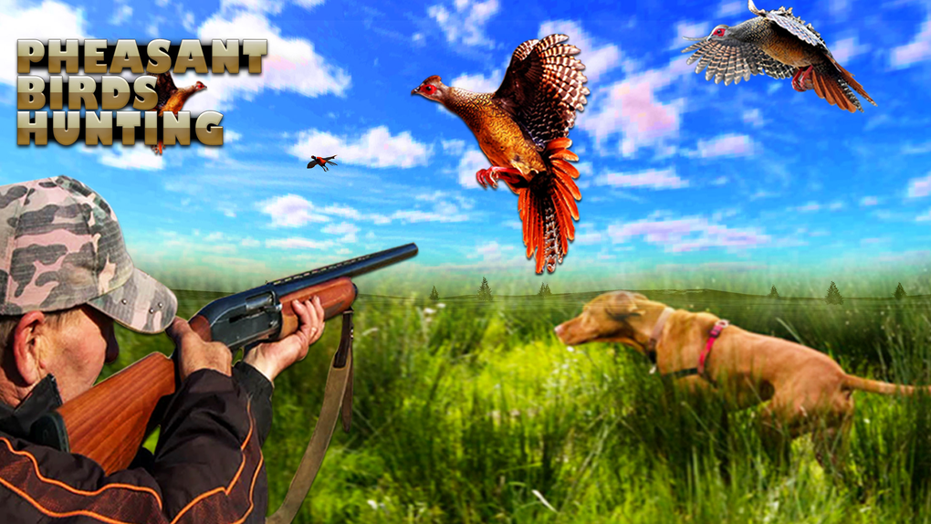 Pheasant Bird Hunting 18 for iPhone - Download