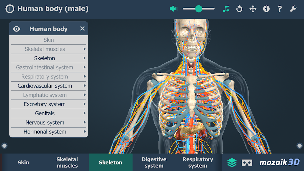 Human body male 3D scene APK for Android - Download