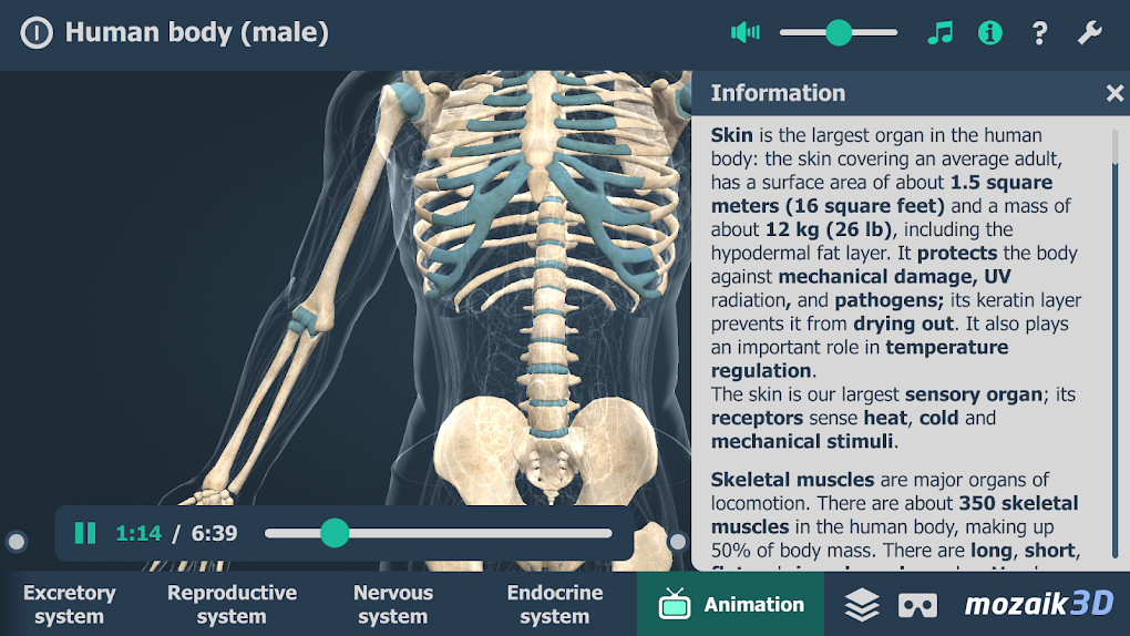 Human body male 3D scene APK for Android - Download