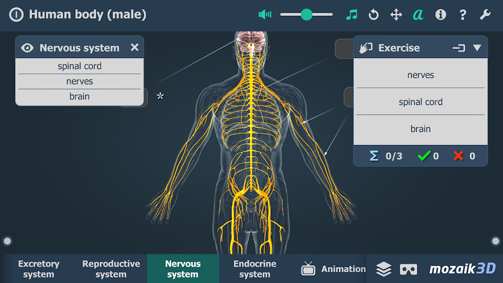 Human body male 3D scene APK for Android - Download