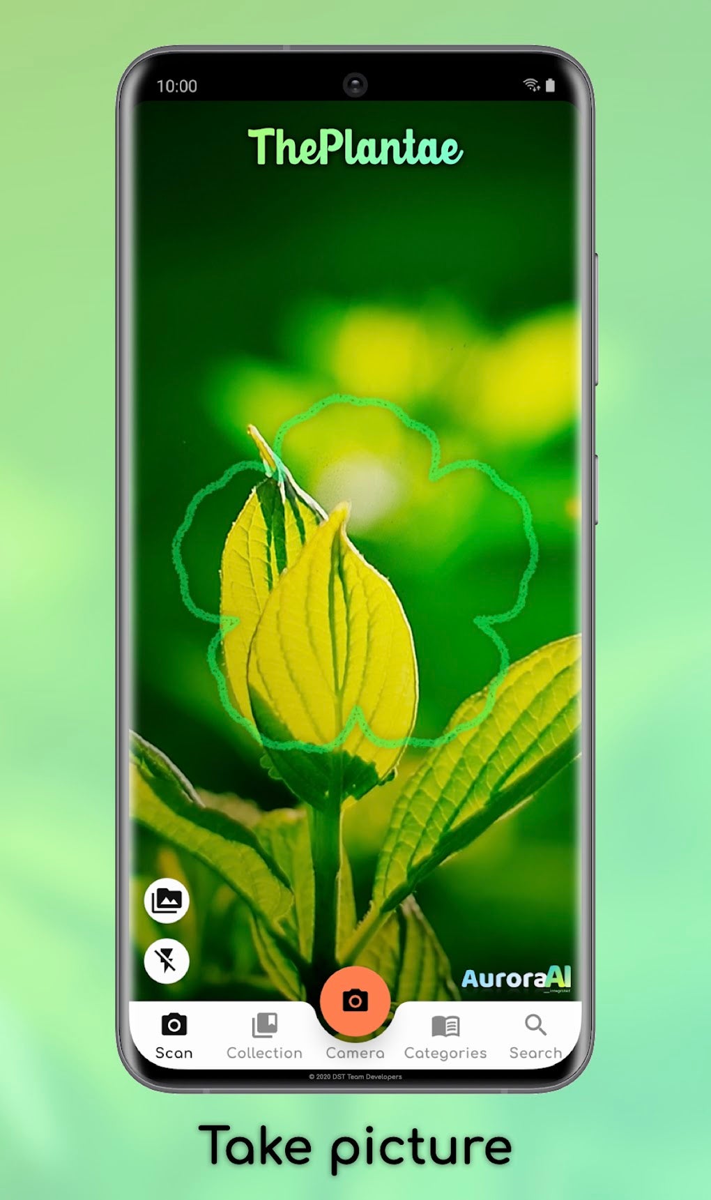 The Plantae Free Plant Identification Android 