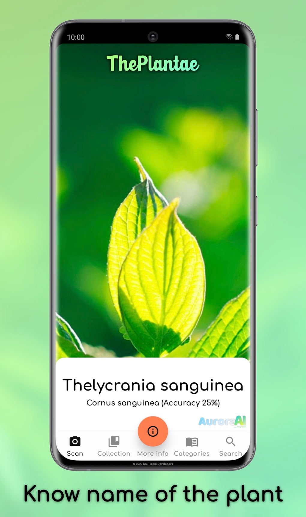 Android için The Plantae - Free plant identification - İndir