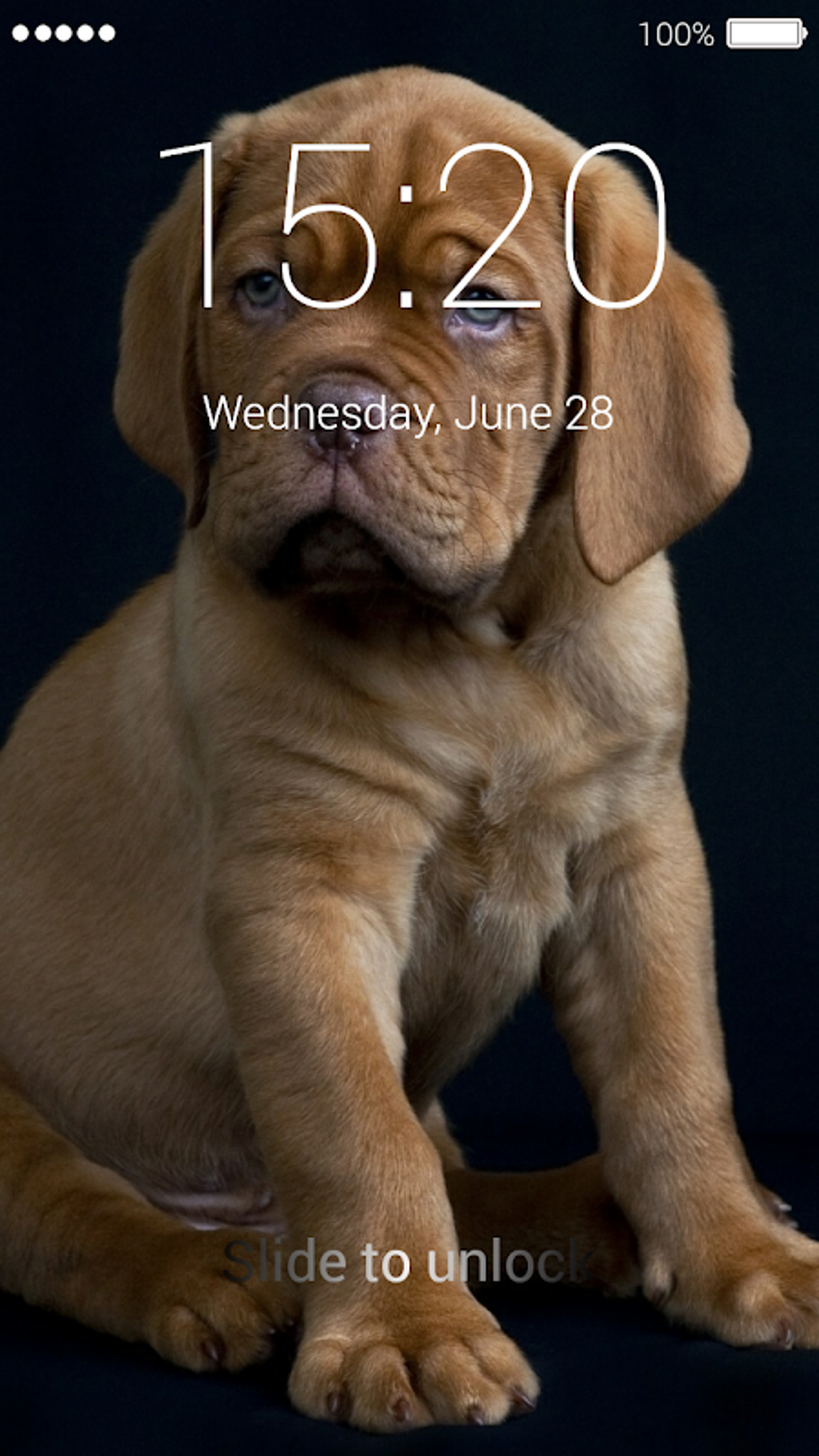 Cute Puppy Lock Screen APK for Android - Download