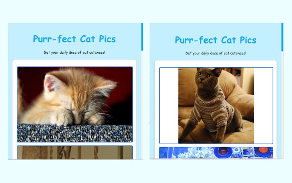 Purr-fect Cat Pics para Google Chrome - Extensión Descargar