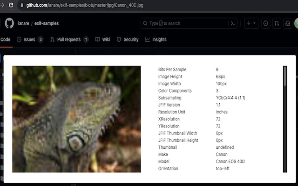 Exif Viewer para Google Chrome - Extensión Descargar