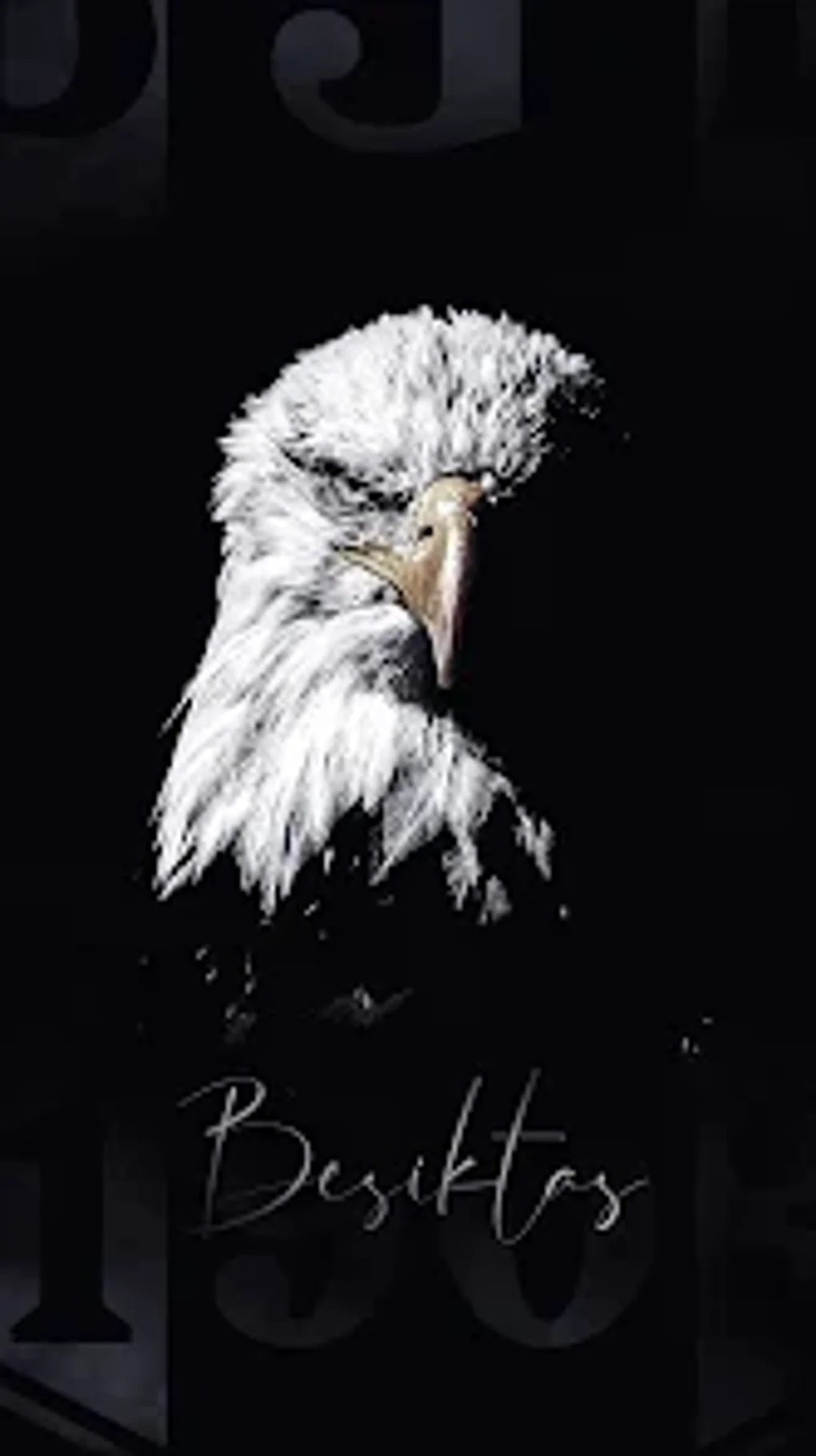 Eagle Wallpapers para Android - Descargar