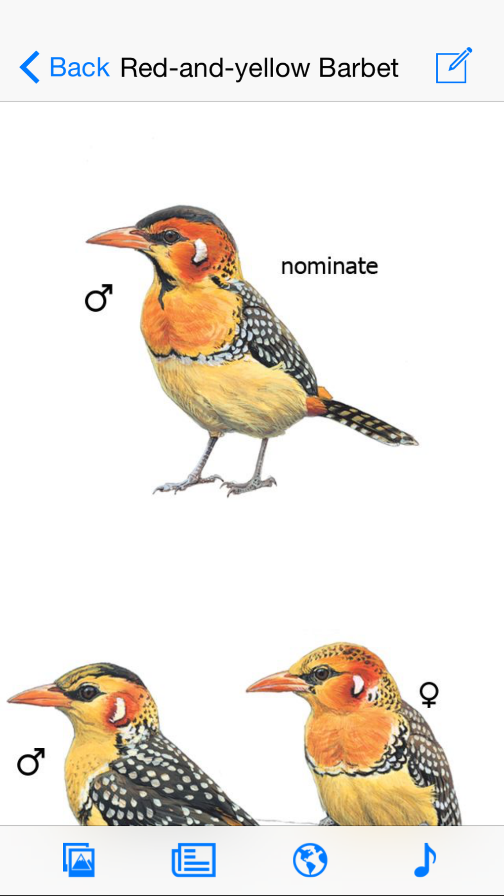 eGuide to Birds of East Africa for iPhone - Download