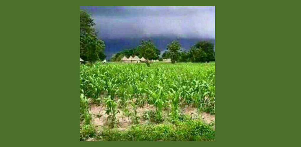 Pulaar for Android - Download