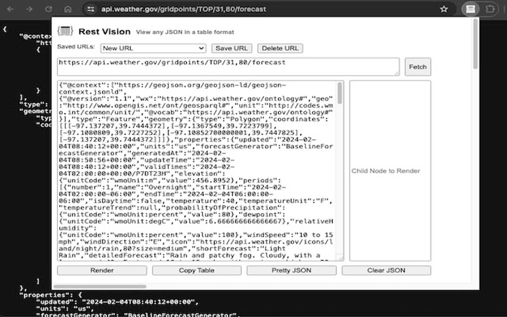 Rest Vision for Google Chrome - Extension Download