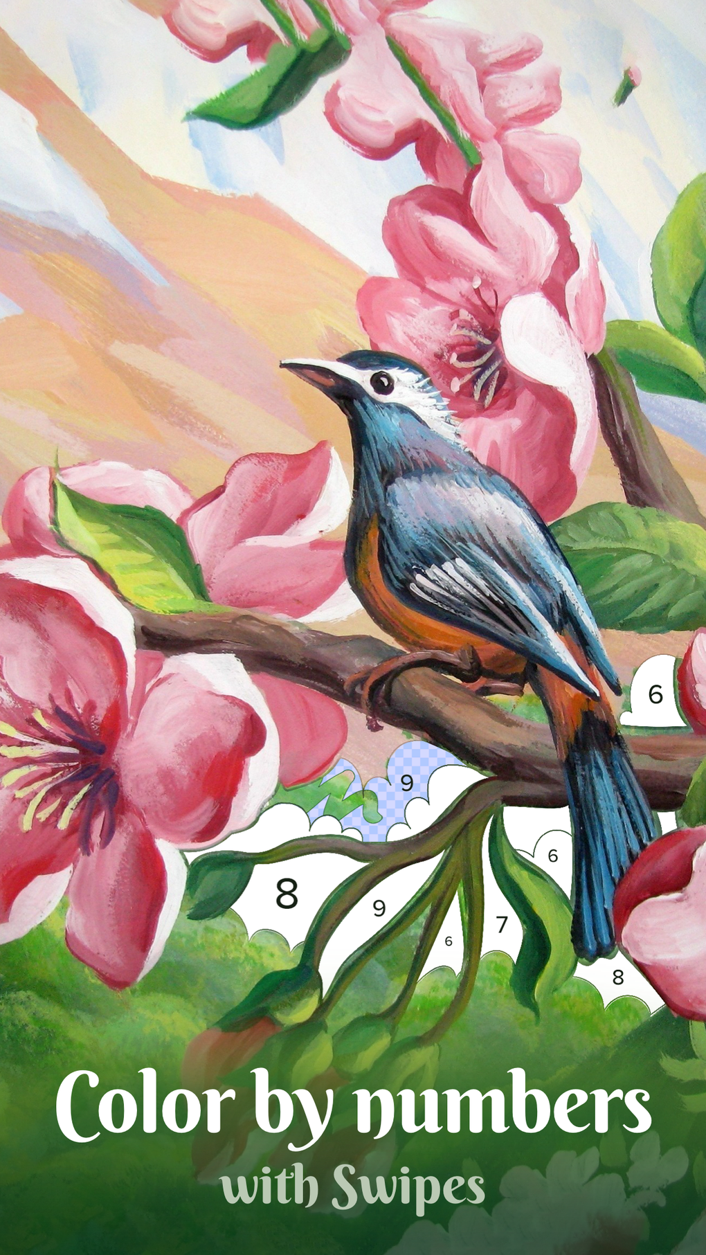 Colorswipes Color By Number For IPhone Download