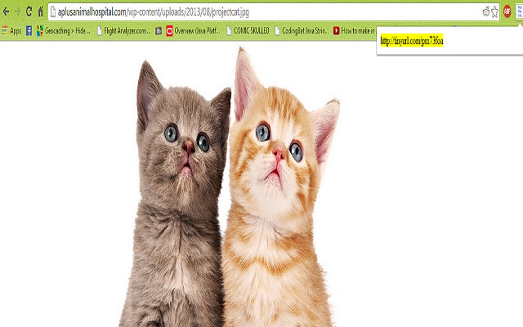 TinyURL Converter Google Chrome 용 - 확장 프로그램 다운로드