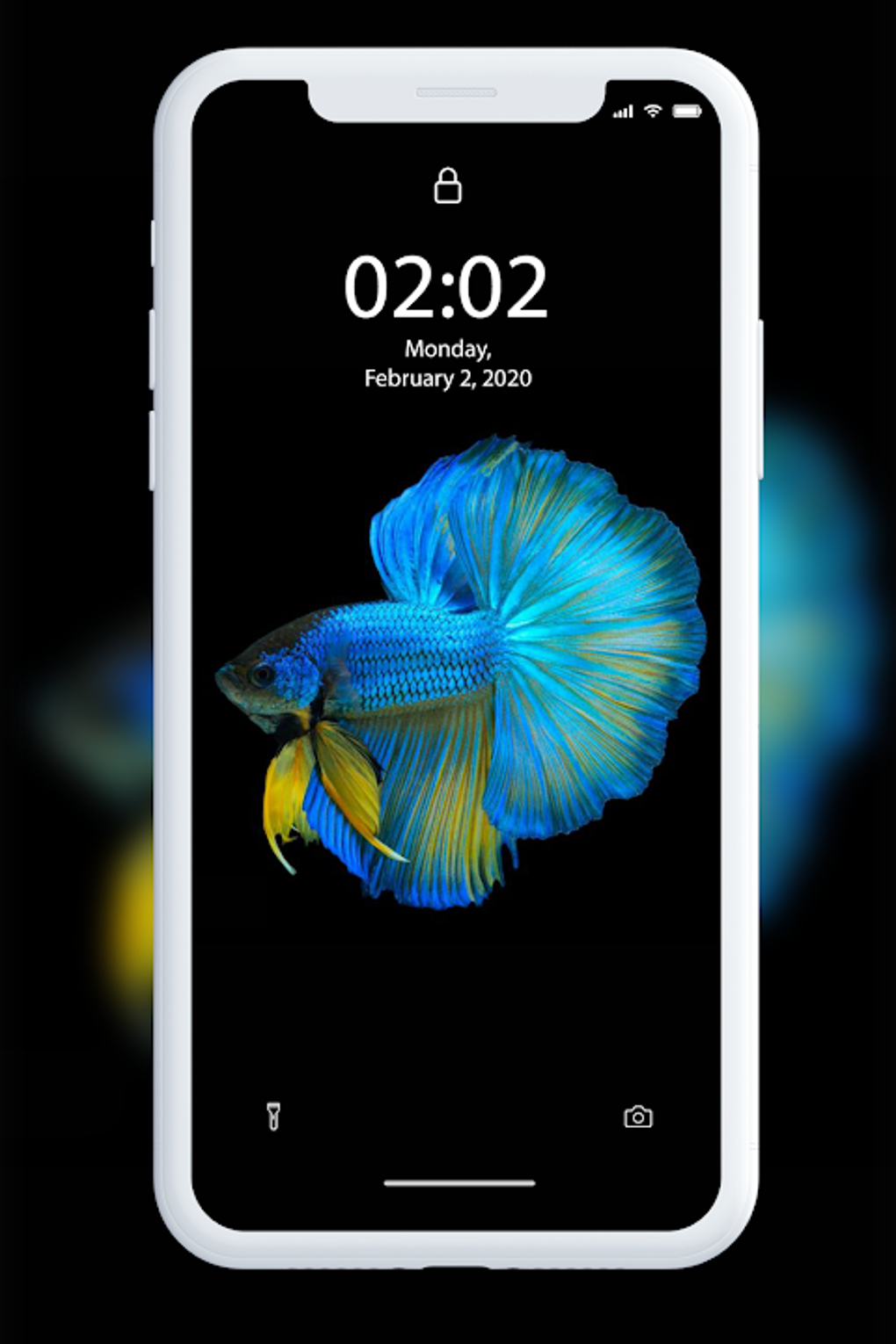 Betta Fish Wallpaper APK para Android - Descargar