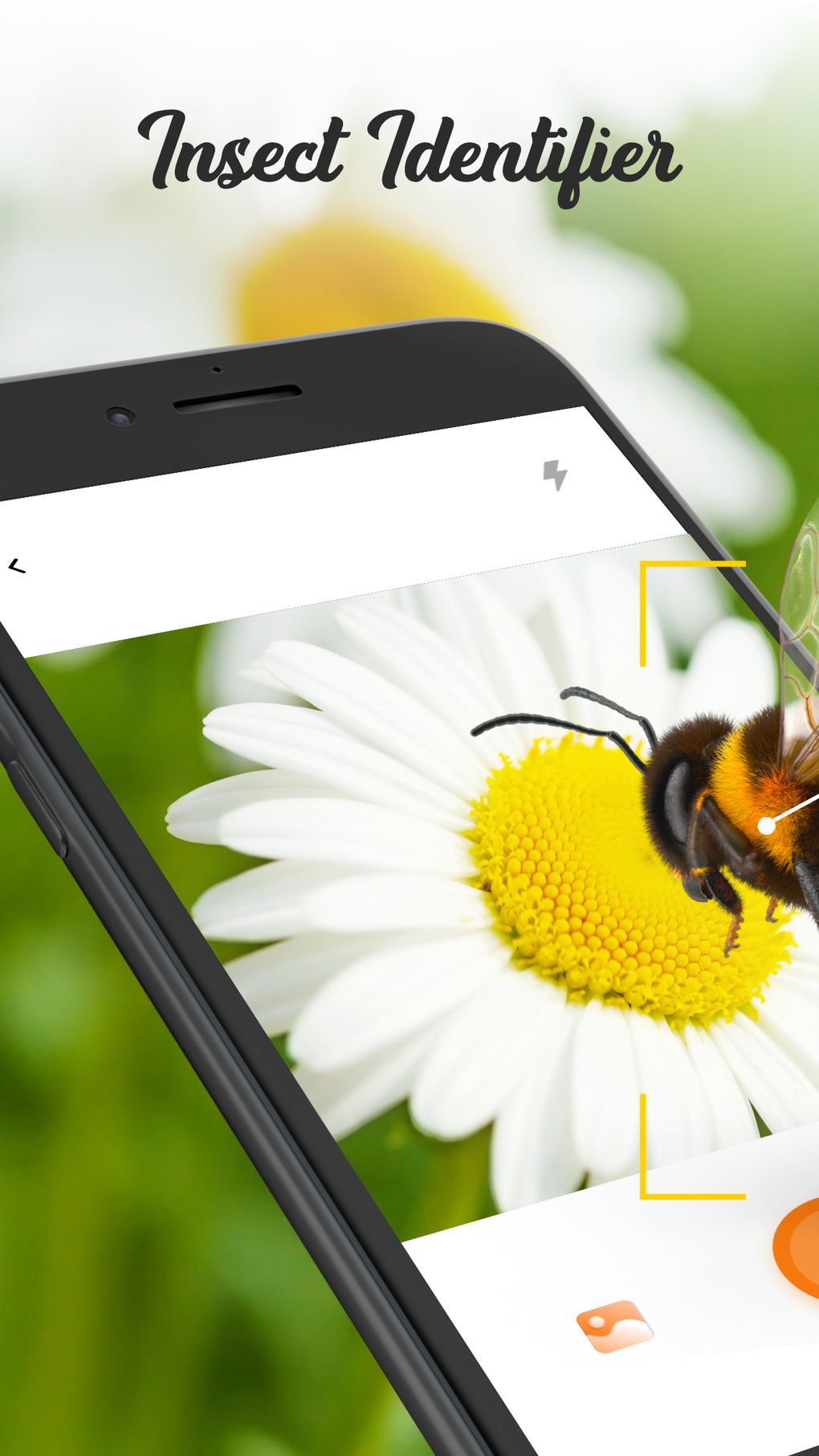 Insect ID Bug Identifier pour iPhone - Télécharger