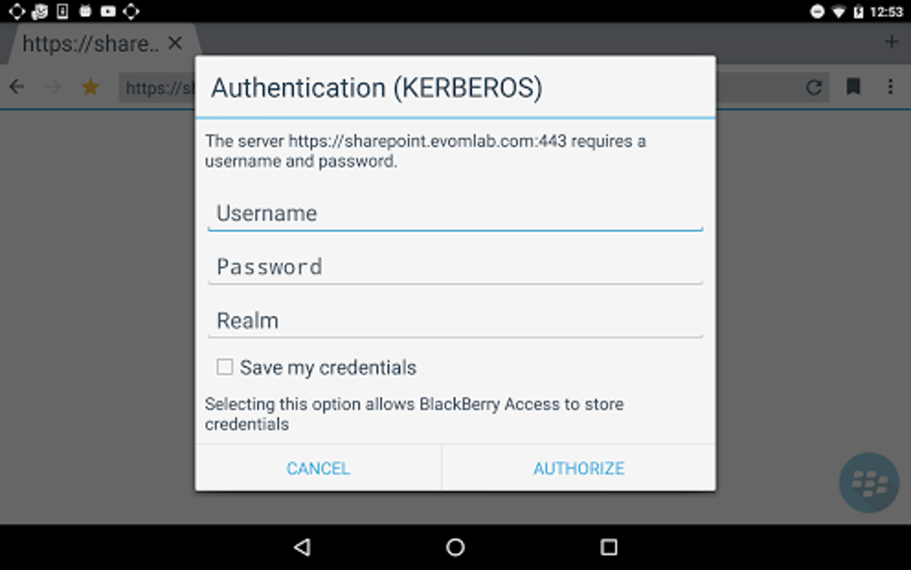 BlackBerry Access APK for Android - Download