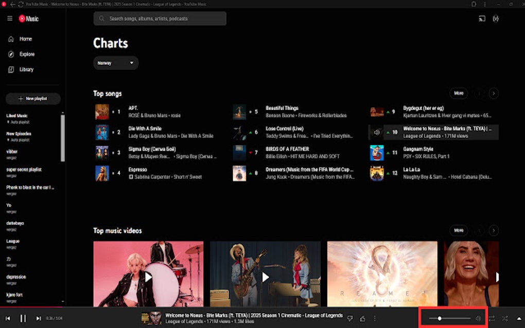 YouTube Music Volume Control Google Chrome 용 - 확장 프로그램 다운로드