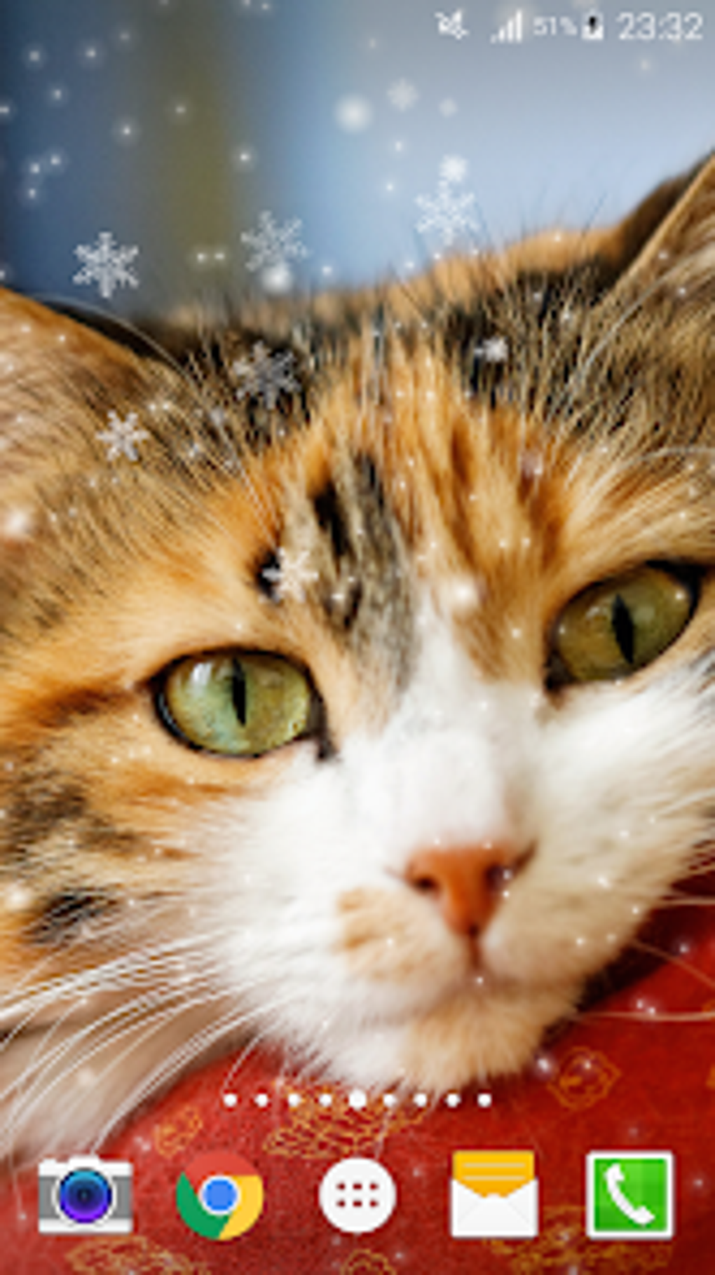 Christmas Cat Live Wallpaper pour Android - Télécharger