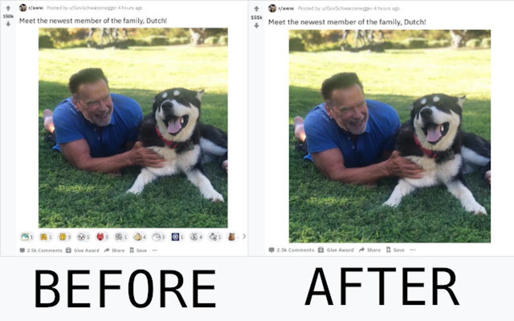 No awards for Reddit for Google Chrome - Extension Download