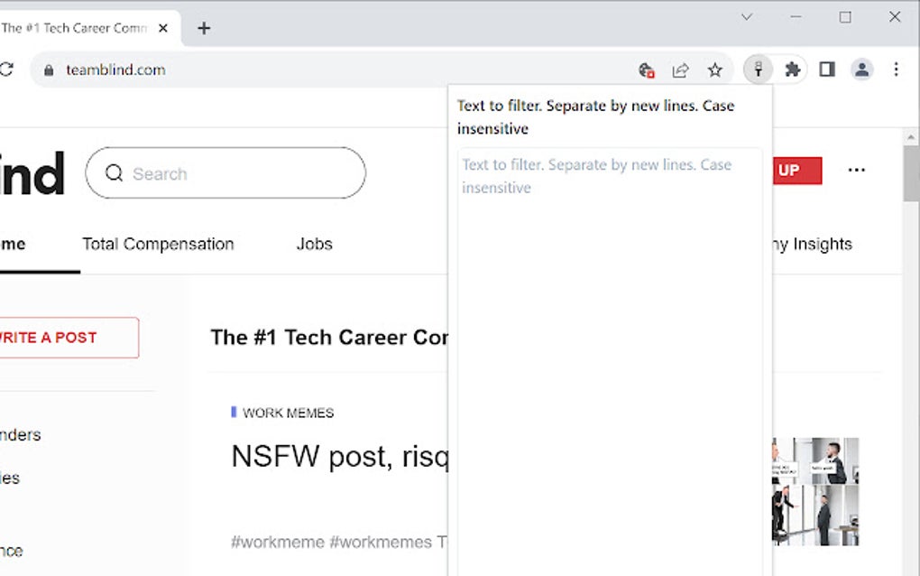 Blind Filter Google Chrome 용 - 확장 프로그램 다운로드