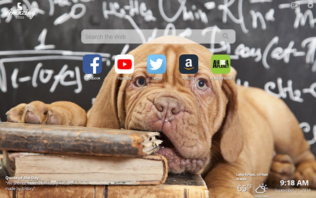 Amazing Dogs for Google Chrome - Extension Download