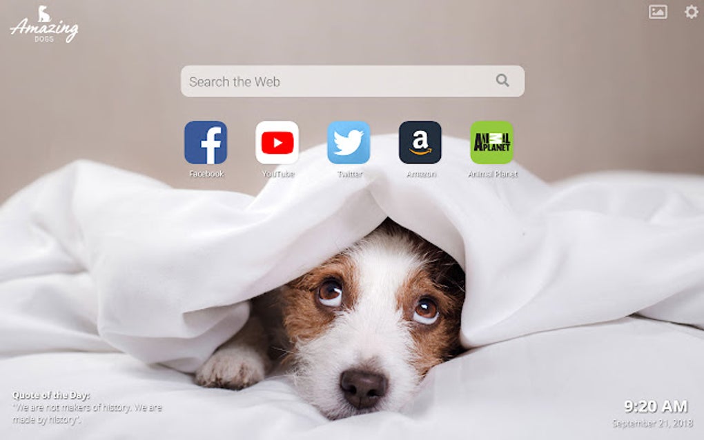 Amazing Dogs for Google Chrome - Extension Download
