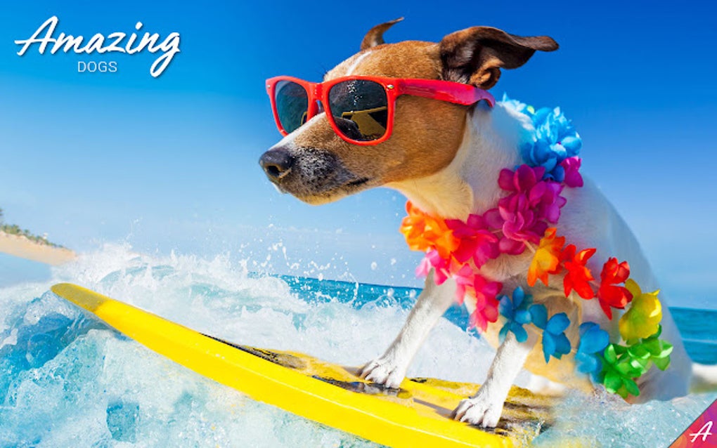 Amazing Dogs for Google Chrome - Extension Download