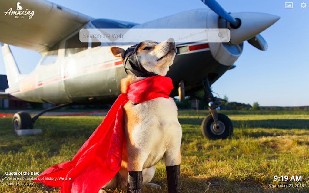 Amazing Dogs for Google Chrome - Extension Download