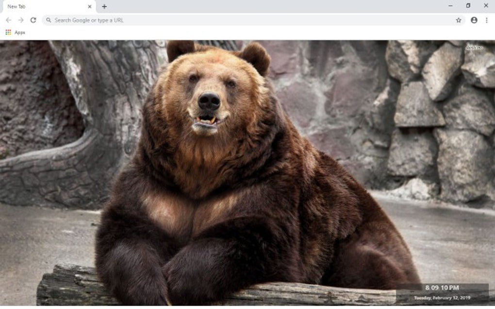 Bear New Tab & Wallpapers Collection para Google Chrome - Extensión ...