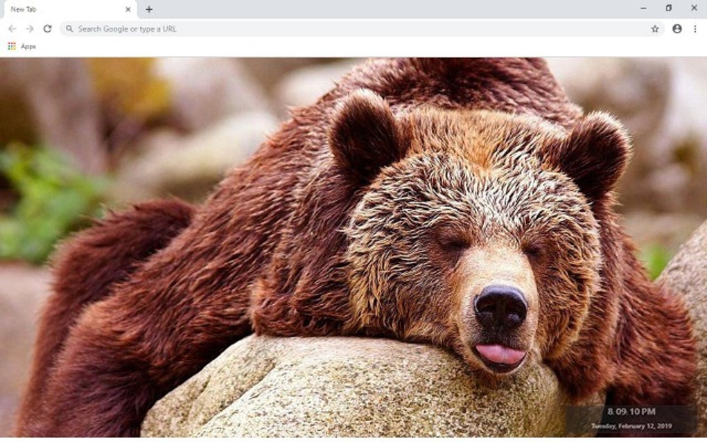 Bear New Tab & Wallpapers Collection para Google Chrome - Extensión ...