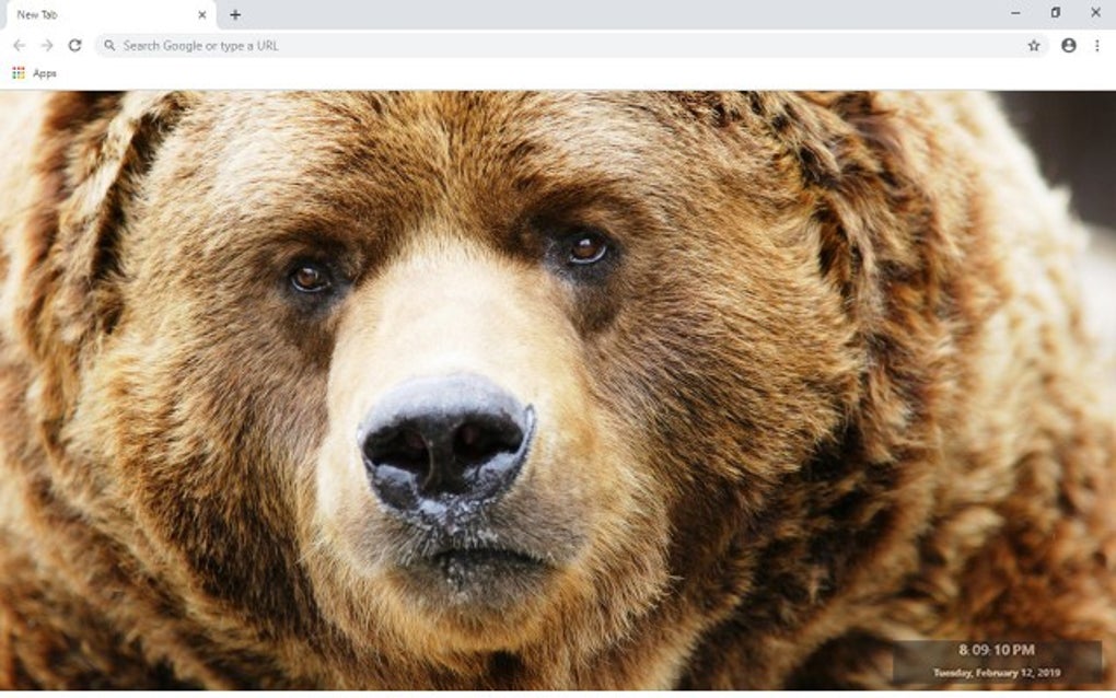 Bear New Tab & Wallpapers Collection pour Google Chrome - Extension Télécharger