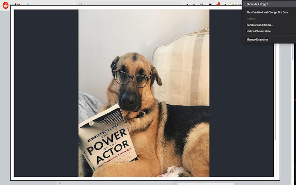 Doggo Images for Google Chrome - Extension Download